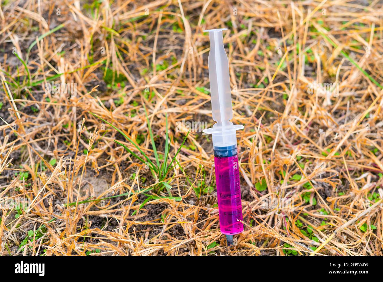 A syringe with a substance for very fast growth is embedded in the soil ...
