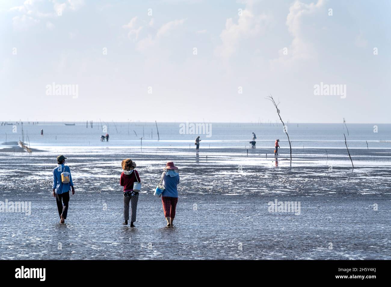 Can Gio District, Ho Chi Minh City, Vietnam - October 23, 2021 ...
