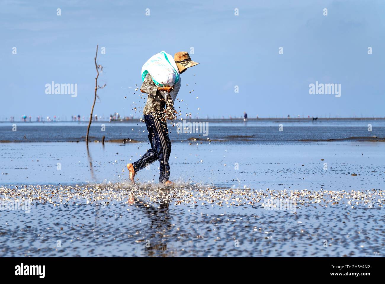 Can Gio District, Ho Chi Minh City, Vietnam - October 23, 2021 ...
