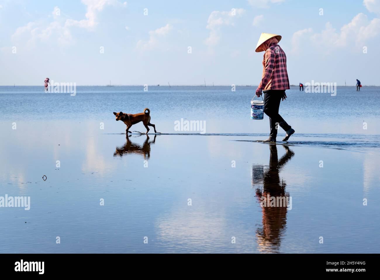 Can Gio District, Ho Chi Minh City, Vietnam - October 23, 2021 ...