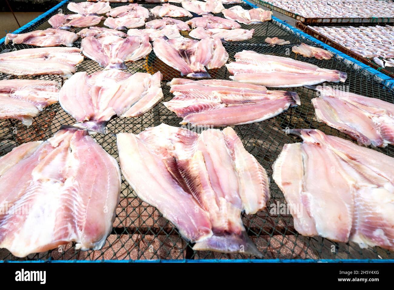Fishermen dry fish after catching at sea at Can Gio district , HCMC ...