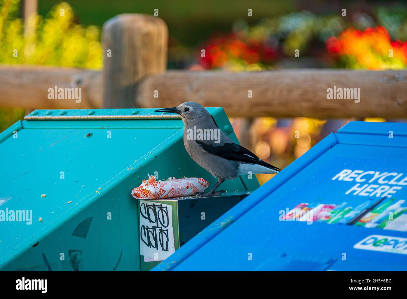 Taco mountain hi-res stock photography and images - Alamy