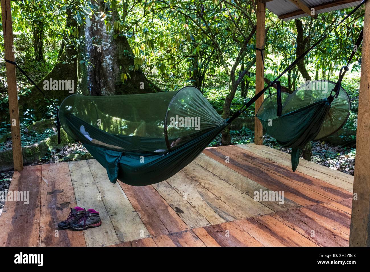 Refugio Selvático Tingo,Tingo Maria,Huanuco,Perú Stock Photo - Alamy