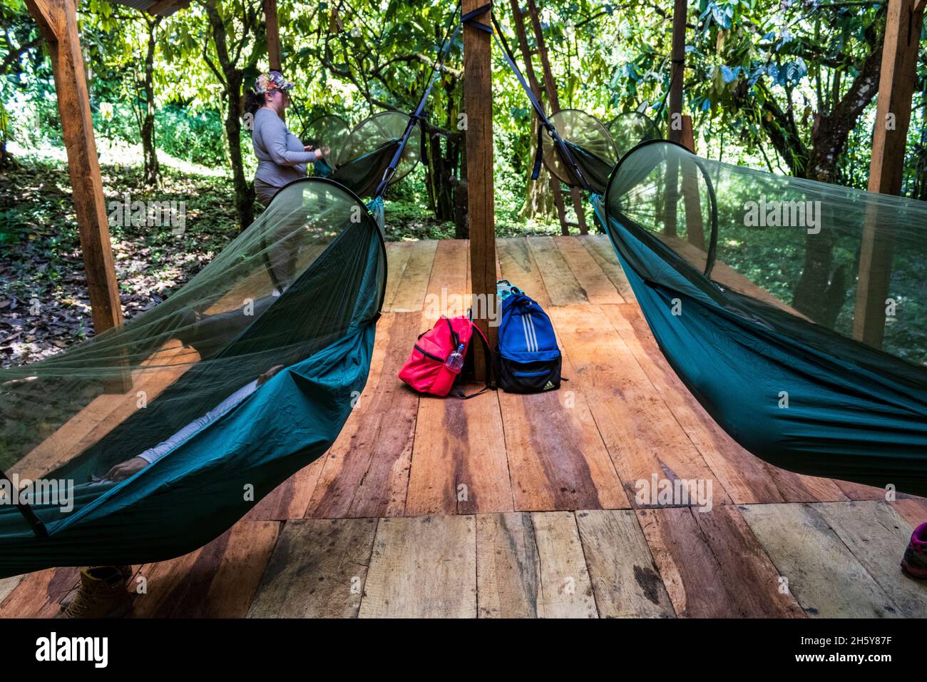 Refugio Selvático Tingo,Tingo Maria,Huanuco,Perú Stock Photo - Alamy