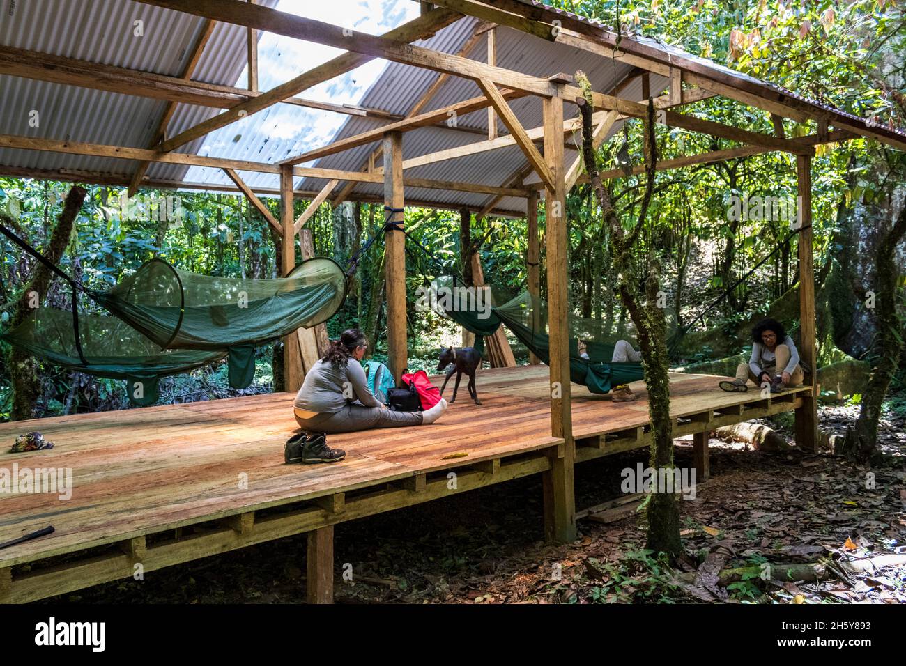 Refugio Selvático Tingo,Tingo Maria,Huanuco,Perú Stock Photo - Alamy