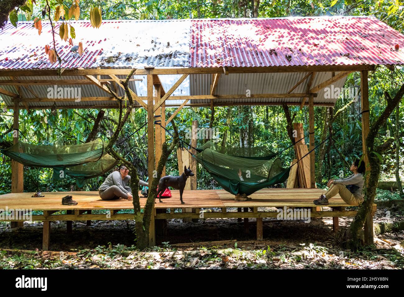 Refugio Selvático Tingo,Tingo Maria,Huanuco,Perú Stock Photo - Alamy