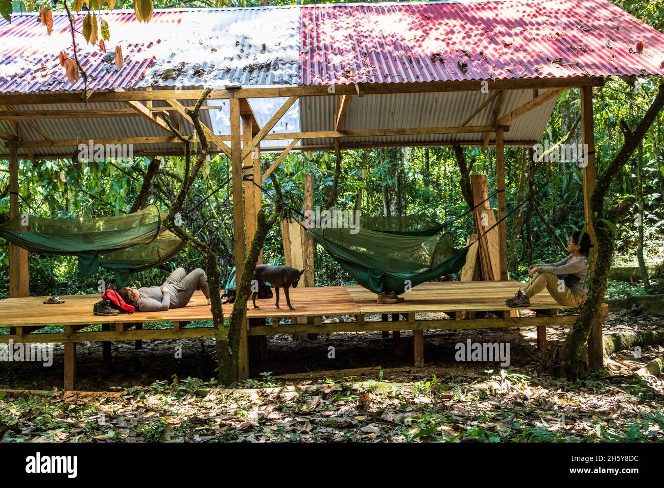 Refugio Selvático Tingo,Tingo Maria,Huanuco,Perú Stock Photo - Alamy