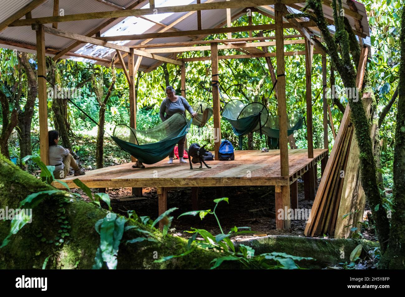 Refugio Selvático Tingo,Tingo Maria,Huanuco,Perú Stock Photo - Alamy