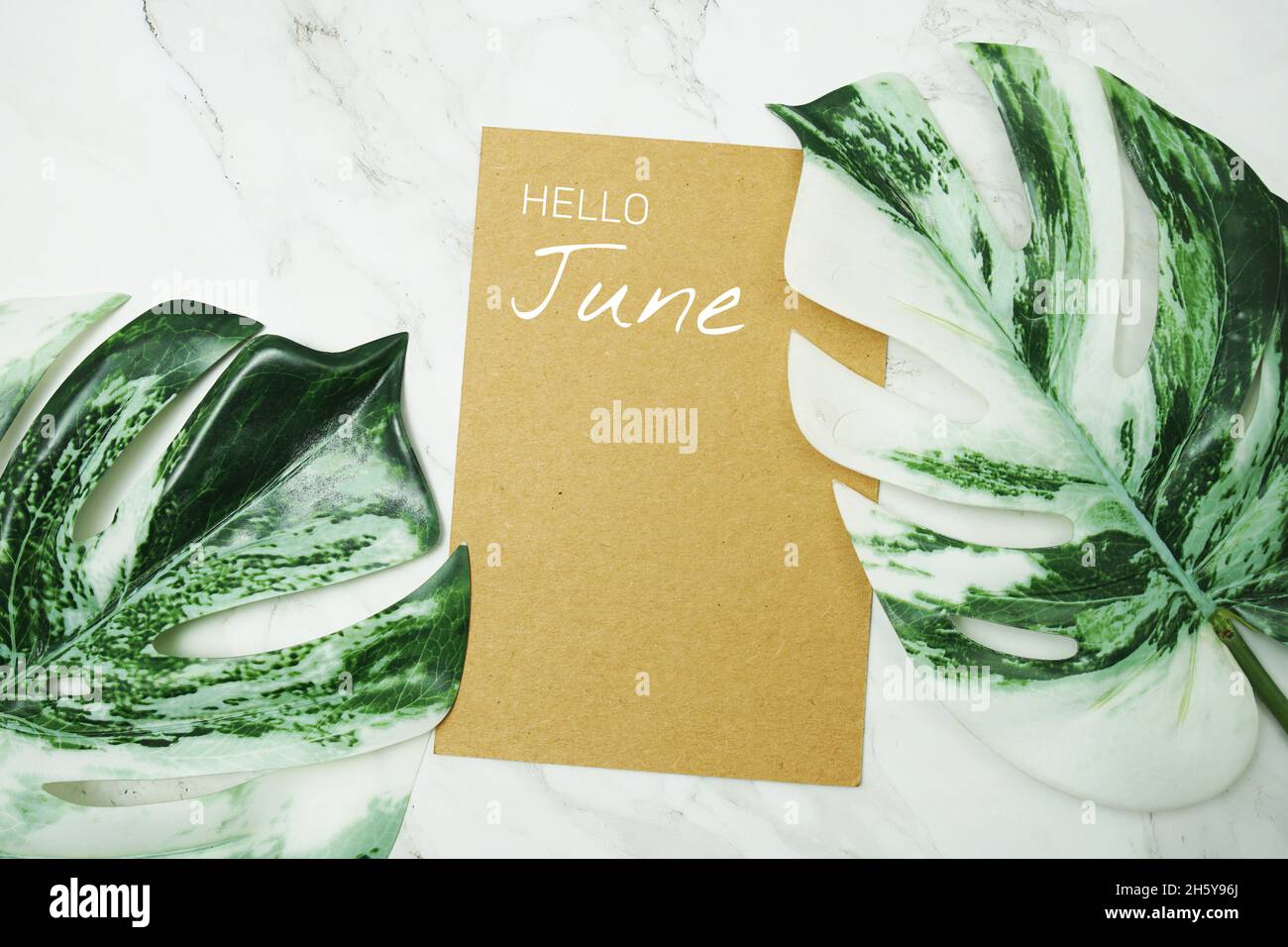 Hello June typography text with Monstera Leave on marble background ...