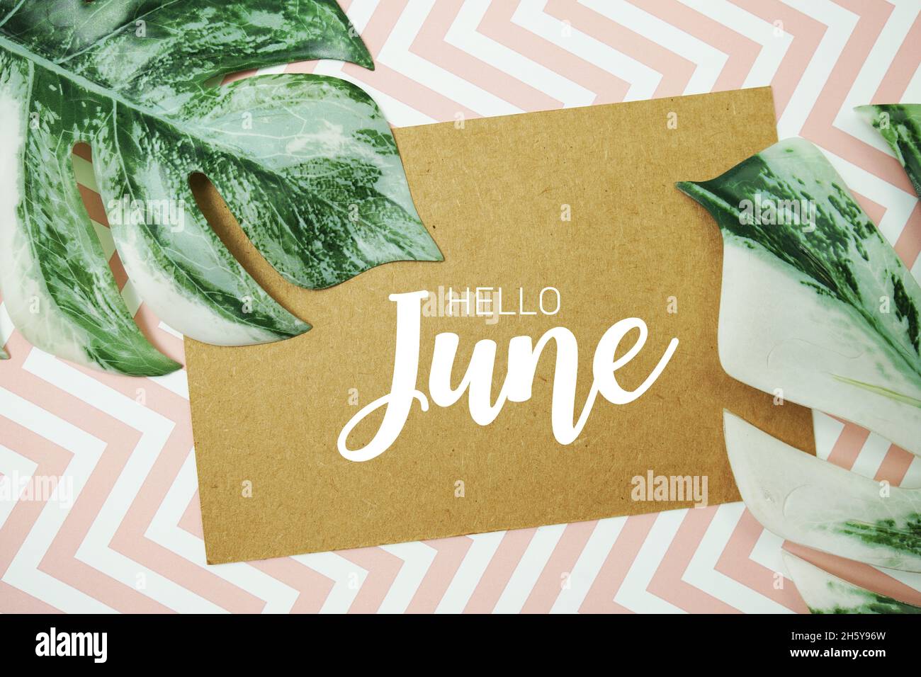 Hello June typography text on paper card with Monstera leaves Stock ...