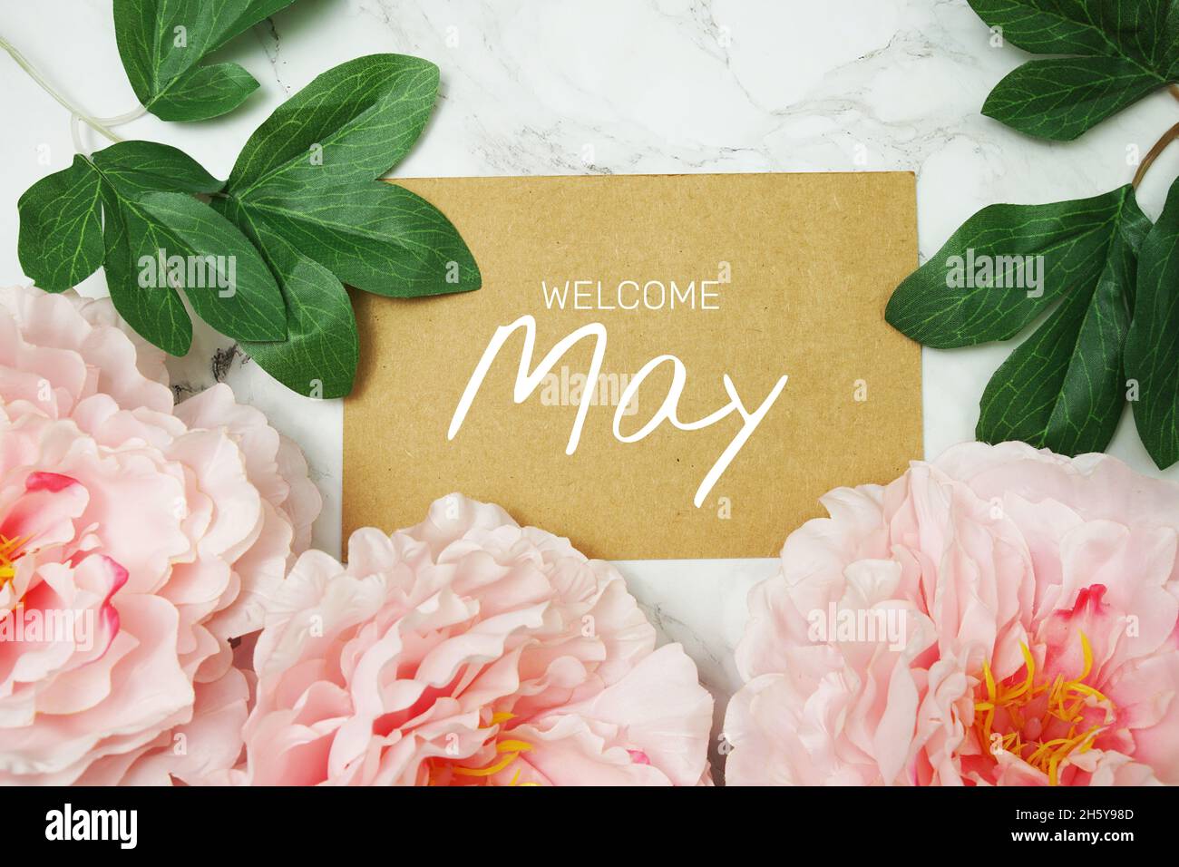 Welcome May typography text with peony flowers on marble background ...