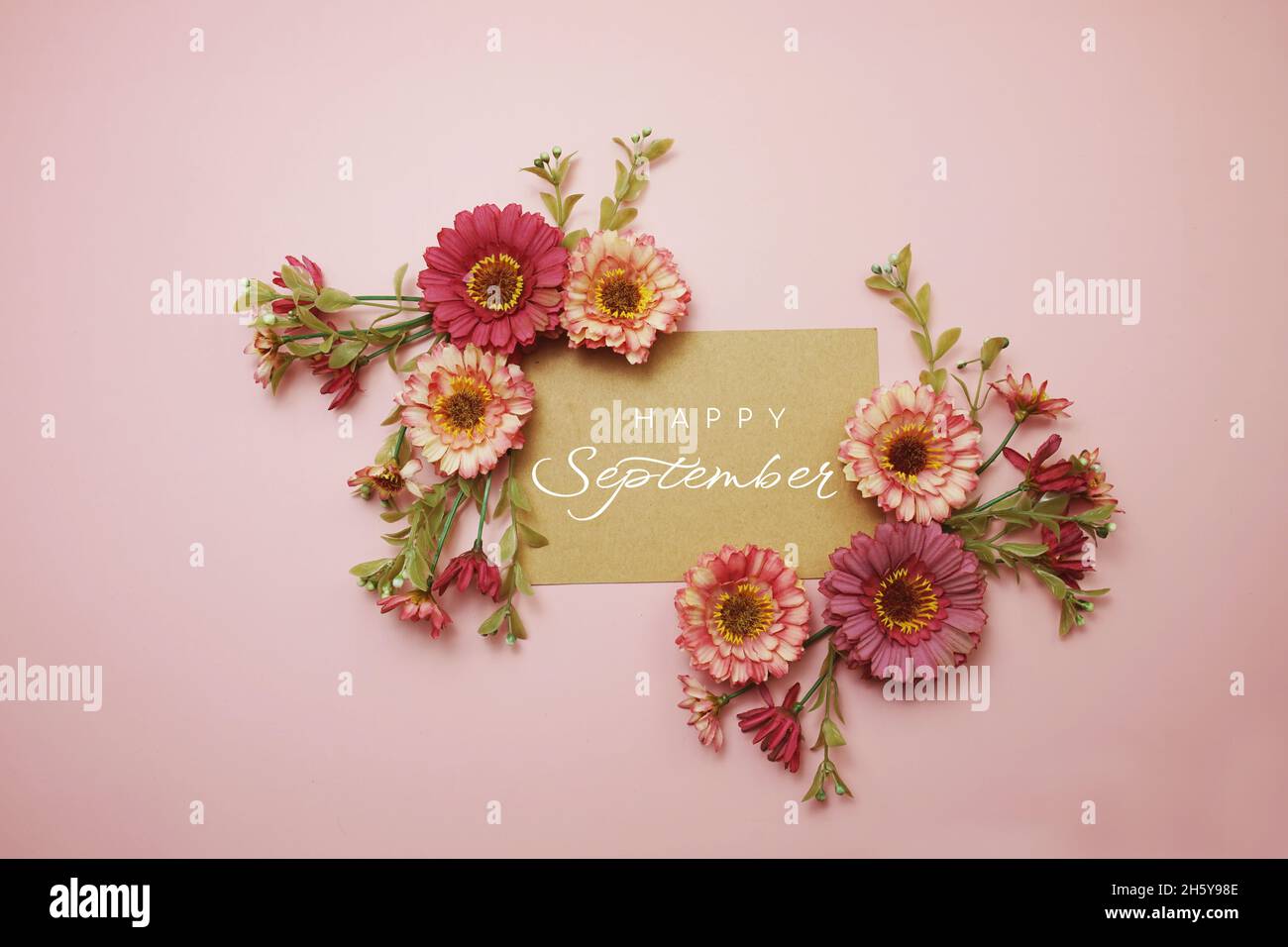 Happy September typography text with flowers on pink background Stock ...