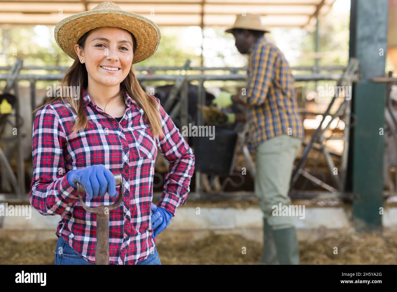 Female cow owner hi-res stock photography and images - Alamy