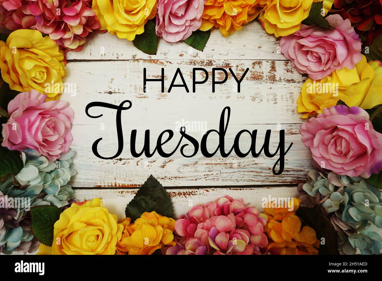 Happy Tuesday text and Flowers Colorful Border Frame on wooden ...