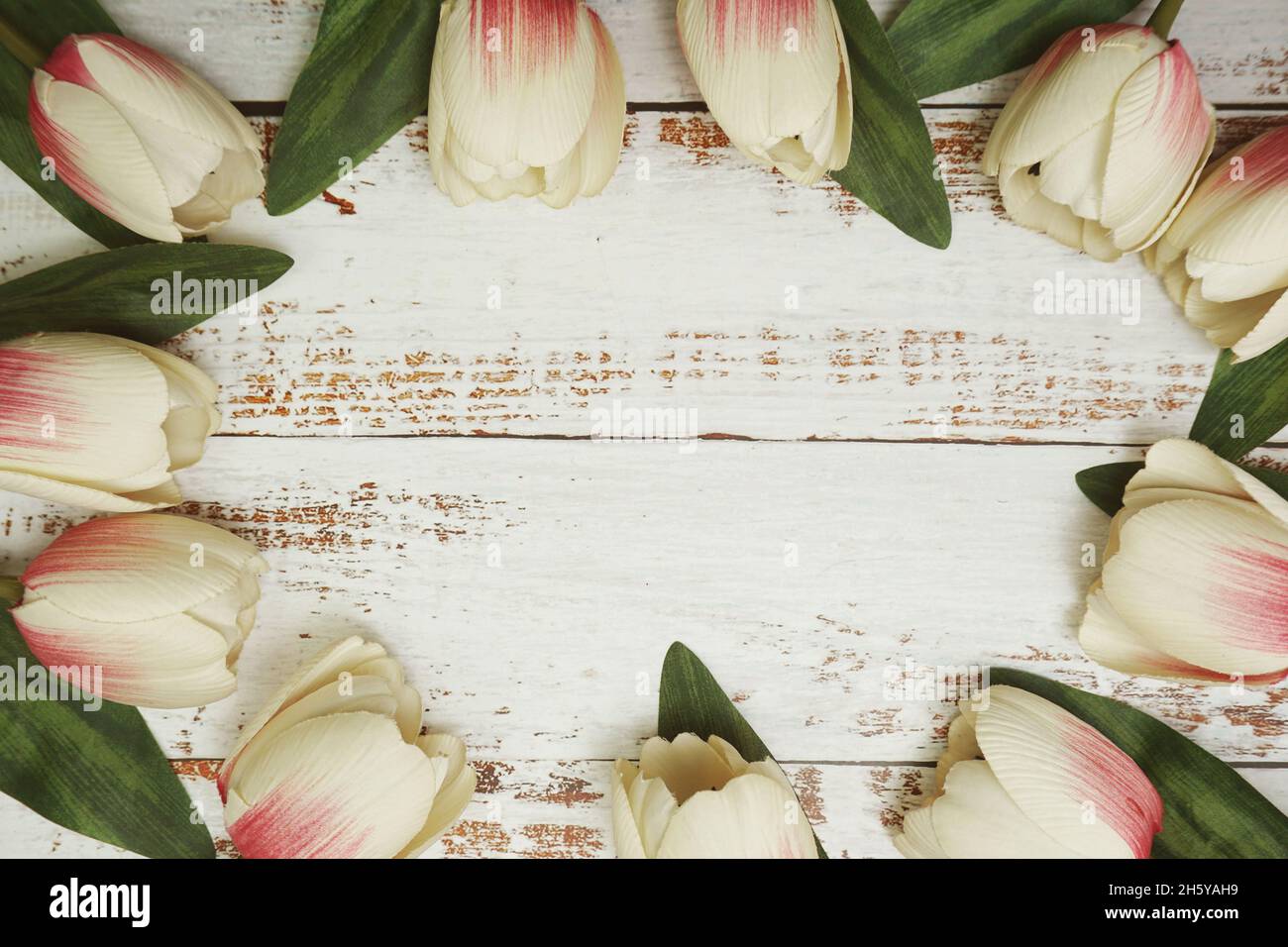 Tulip flower border frame with space copy on wooden background Stock ...