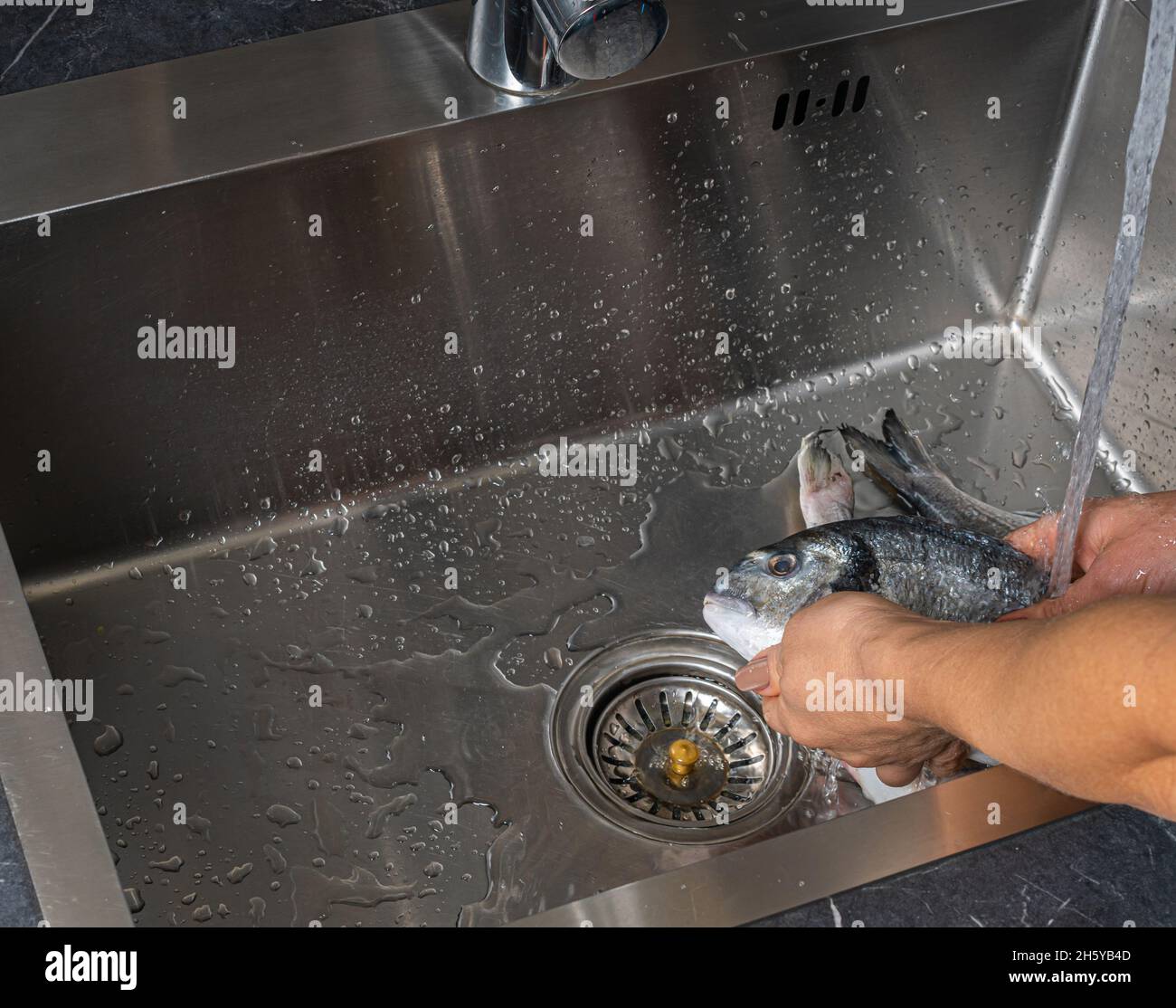 Washing cleaning fish hi-res stock photography and images - Alamy
