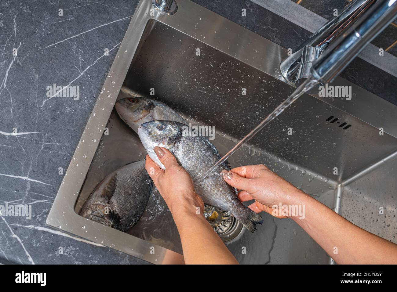 Dorado fish washing under running water, hands close-up Stock Photo - Alamy