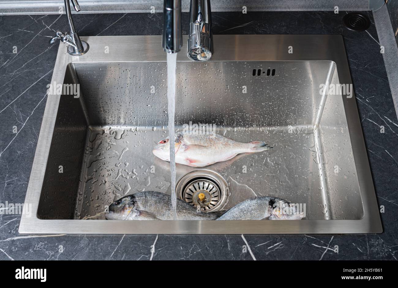 Dorado fish washing under running water Stock Photo - Alamy