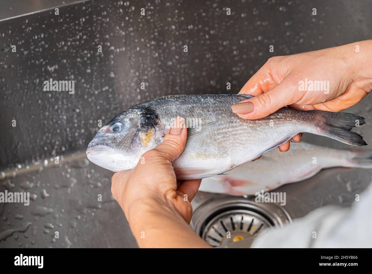 Woman washing up restaurant hi-res stock photography and images - Alamy