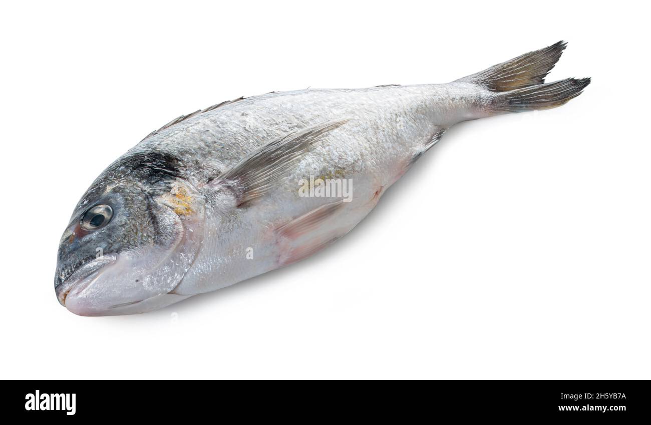 raw dorado fish on white isolated background Stock Photo - Alamy