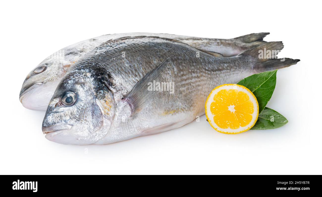 raw dorado fish on white isolated background Stock Photo - Alamy