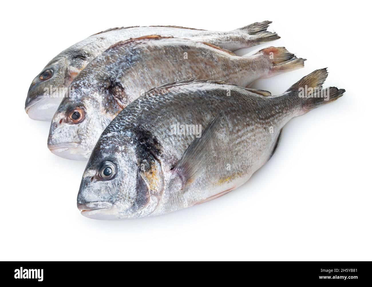raw dorado fish on white isolated background Stock Photo - Alamy