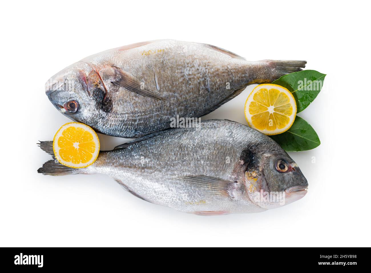 raw dorado fish on white isolated background Stock Photo - Alamy
