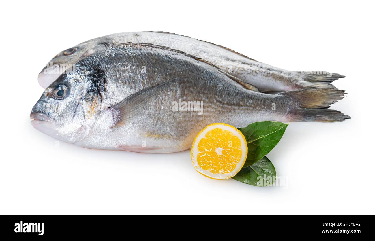 raw dorado fish on white isolated background Stock Photo - Alamy