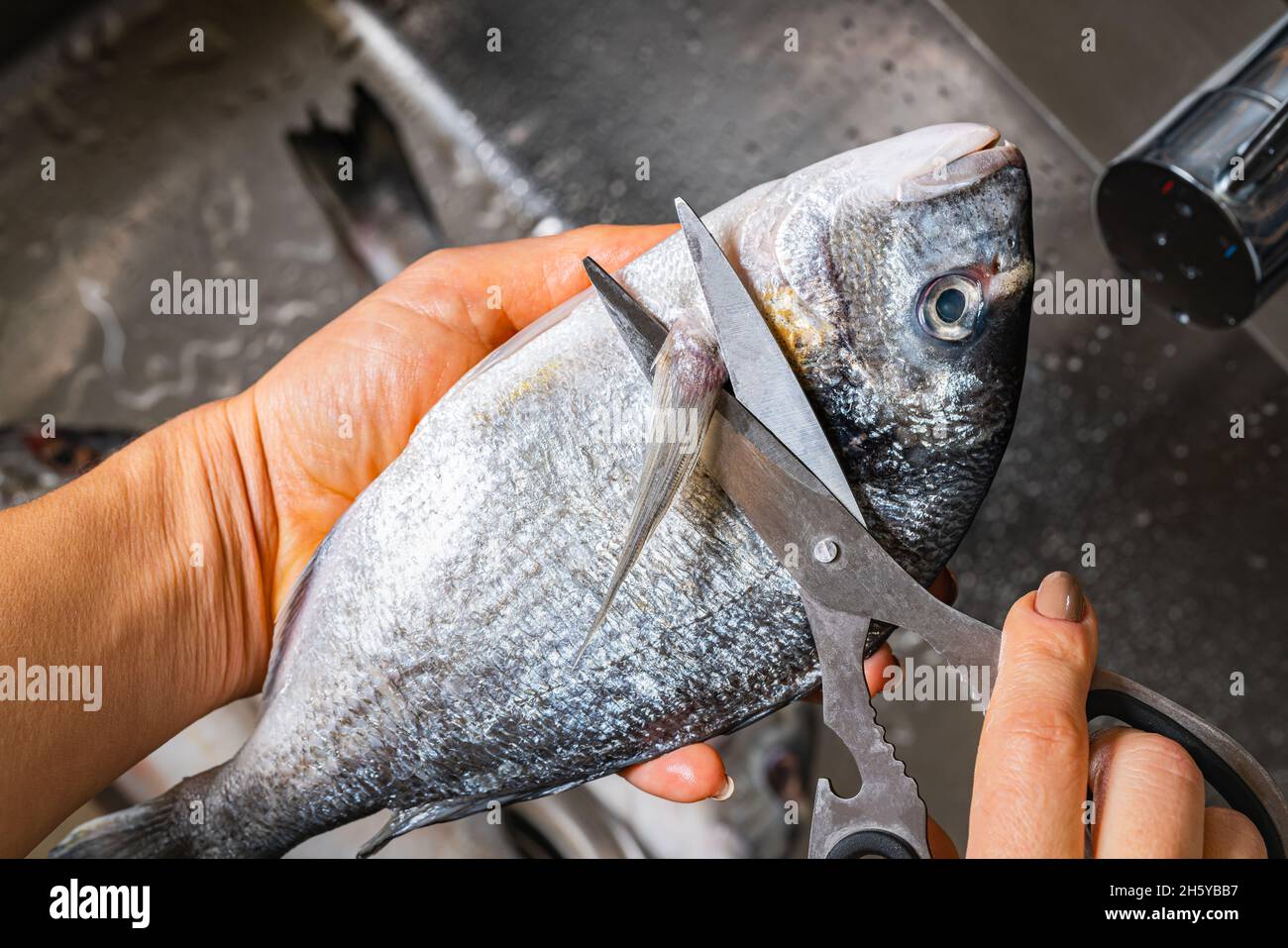 Cutting off the fins hi-res stock photography and images - Alamy