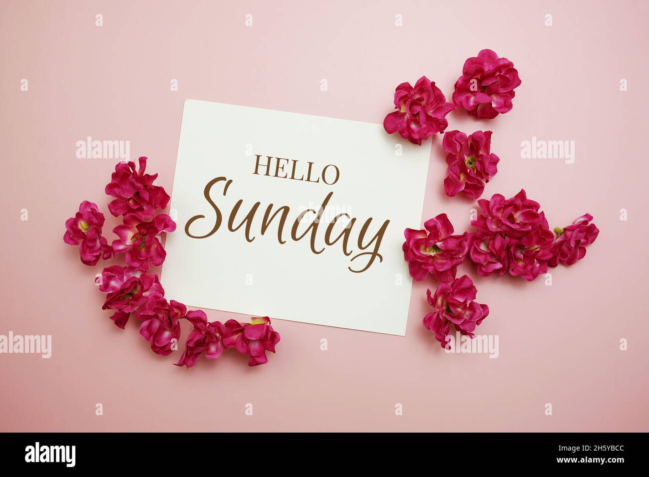 Hello Sunday card typography text with flower bouquet on pink ...