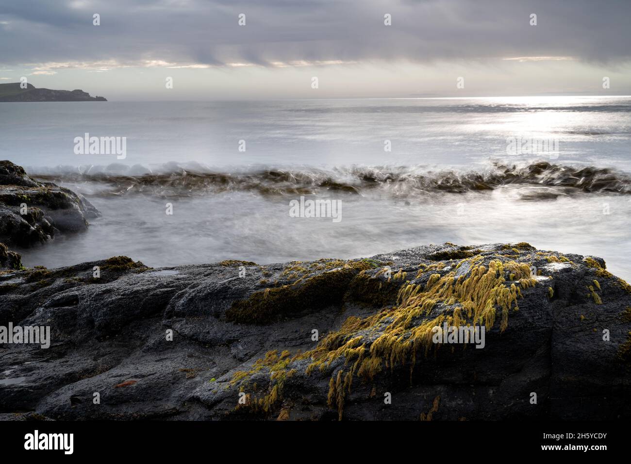 Beach scene. Jacks Bay, New Zealand Stock Photo - Alamy