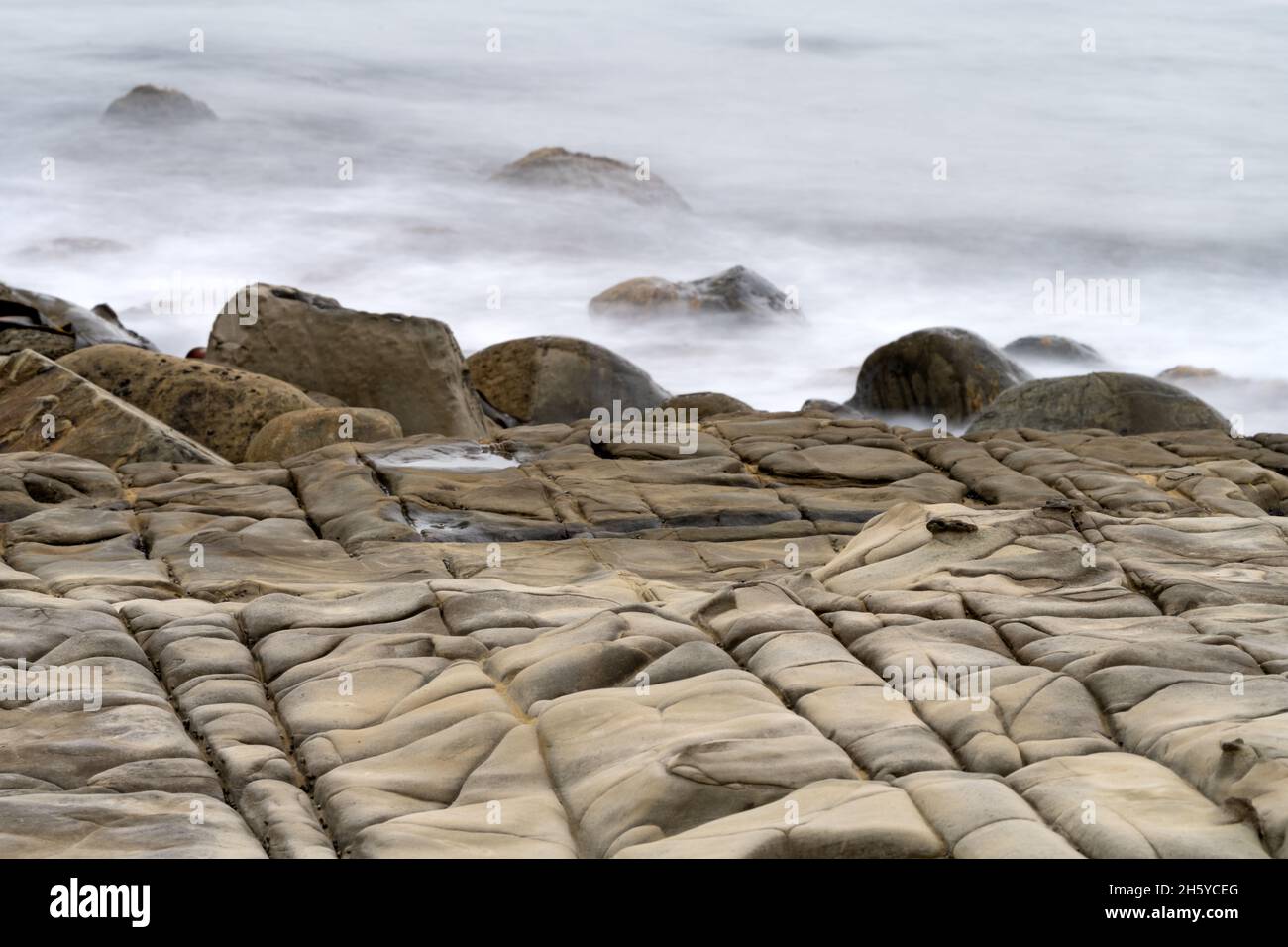 New zealand nature hi-res stock photography and images - Alamy