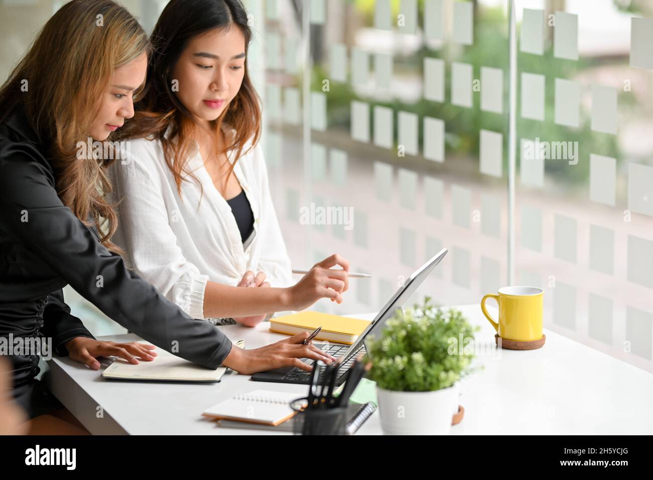 Two asian businesswoman having an informal meeting, listening to her ...