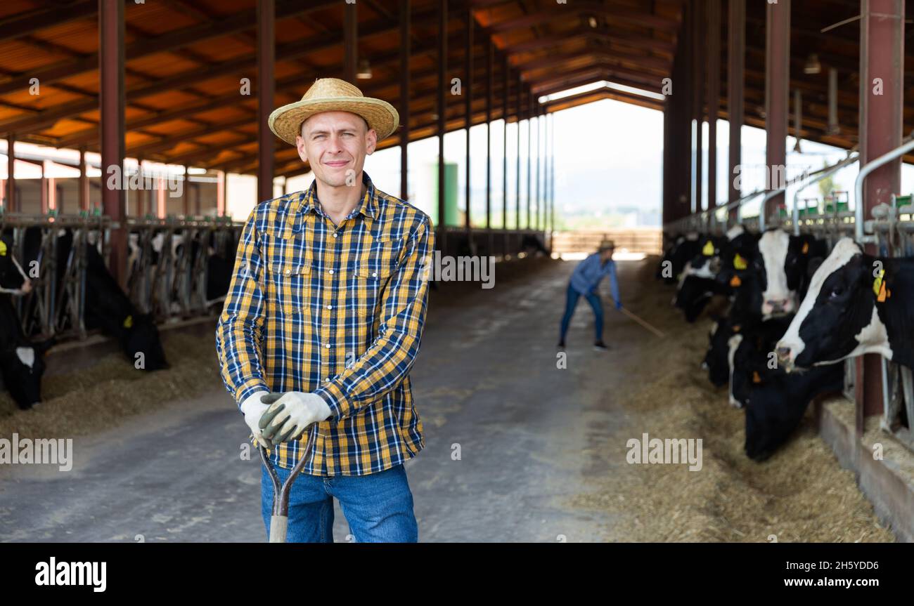 Confident man cow breeder standing in outdoor cowshed Stock Photo - Alamy