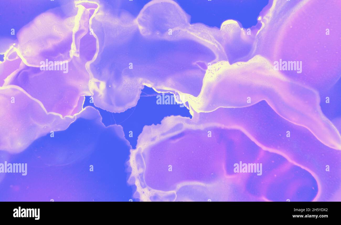 Abstract Paint Gradient. Blue Futuristic Digital Stock Photo - Alamy