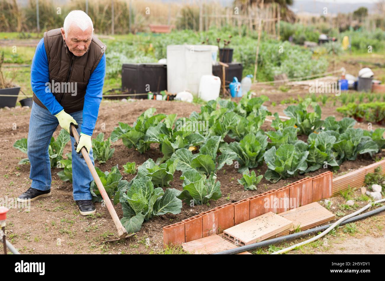 Greenery spreads hi-res stock photography and images - Alamy