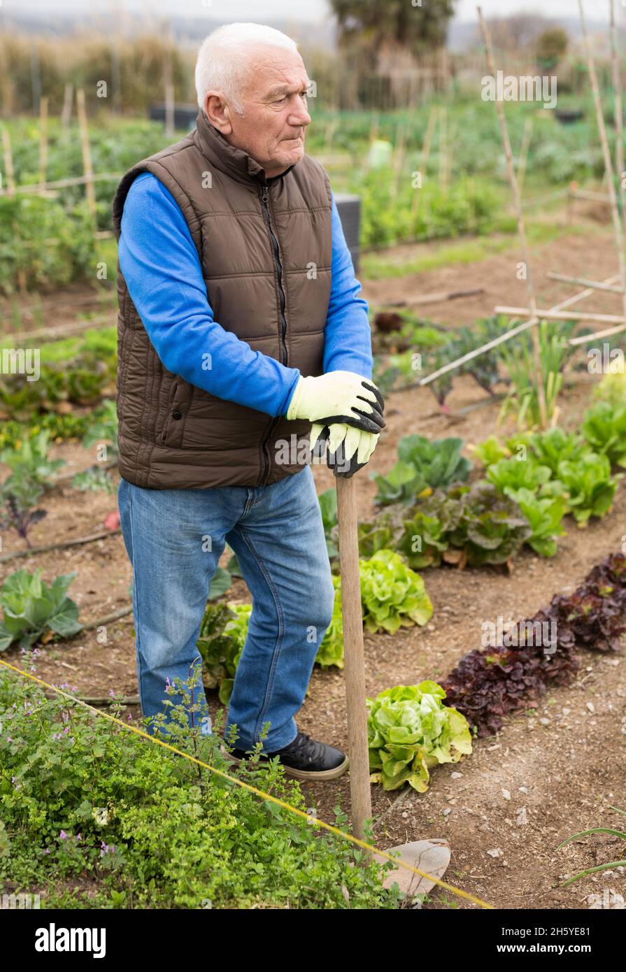 Hoe owner hi-res stock photography and images - Alamy