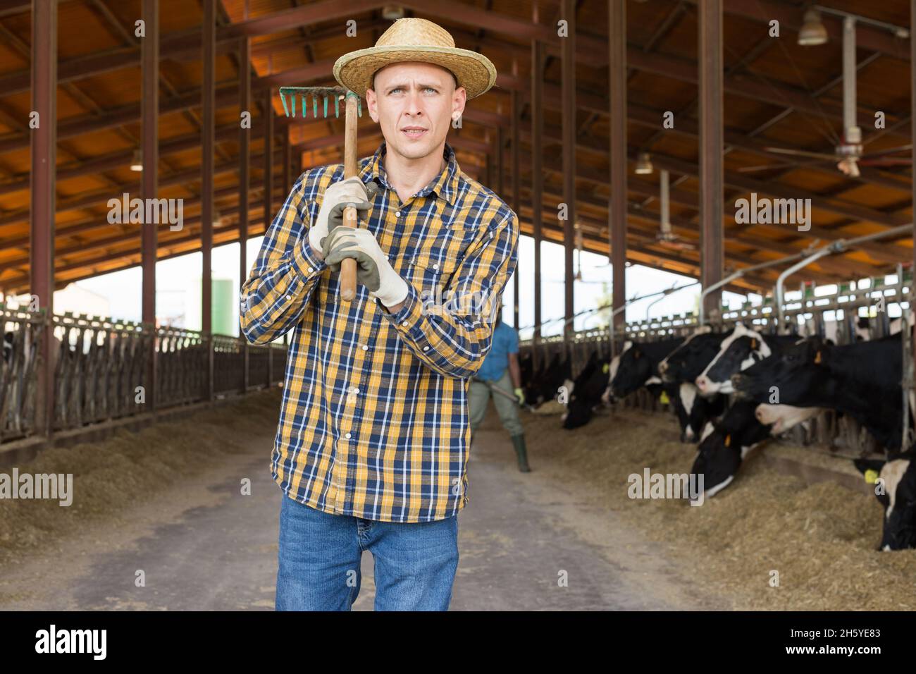 Male farmer posing cowshed hi-res stock photography and images - Alamy