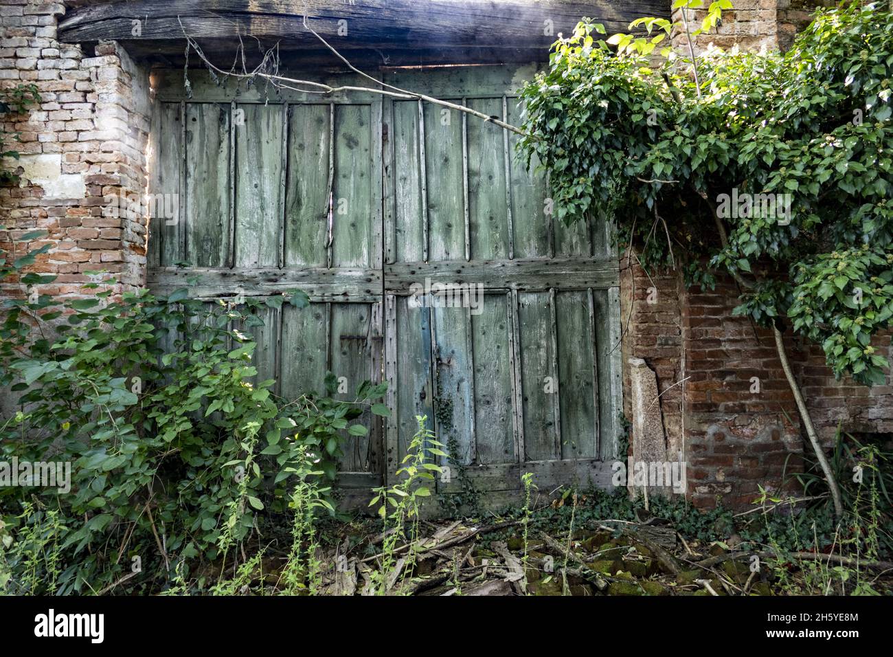 Close-up shot of a destroyed and abandoned building wooden door Stock ...