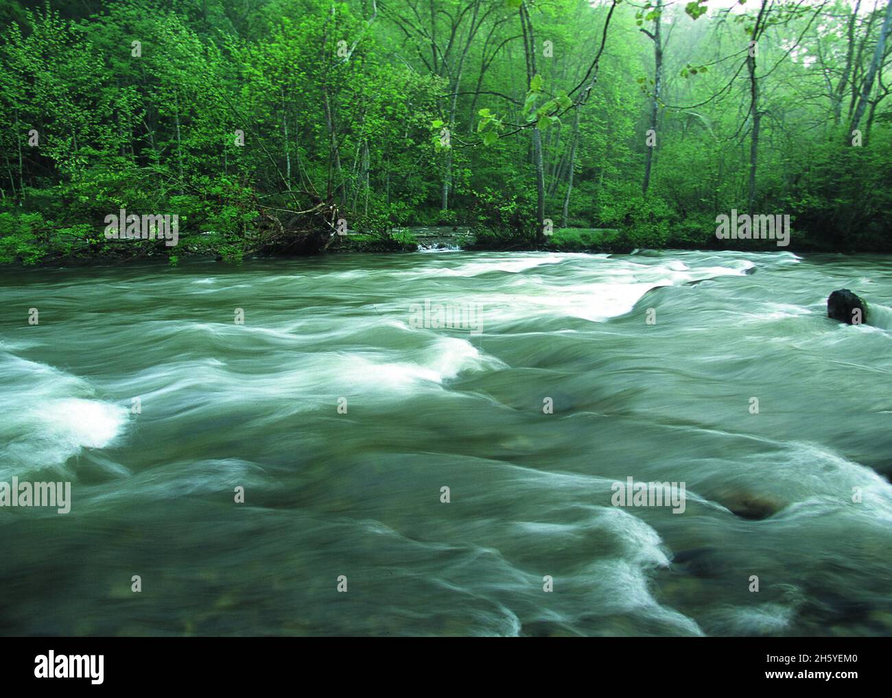 North Fork Holston River