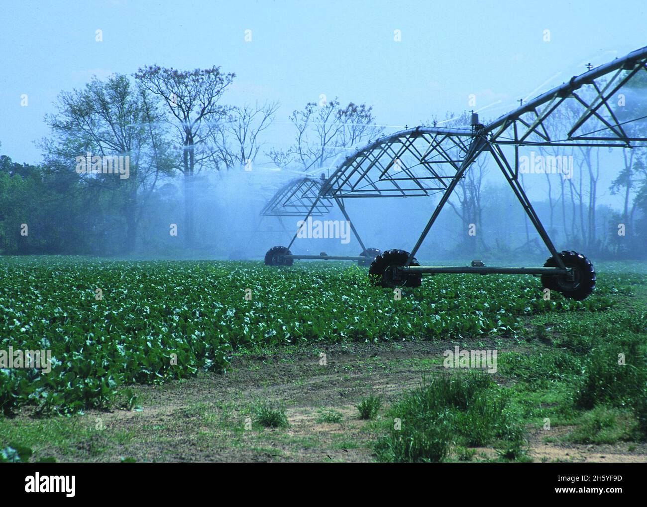 Georgia farm hi-res stock photography and images - Alamy