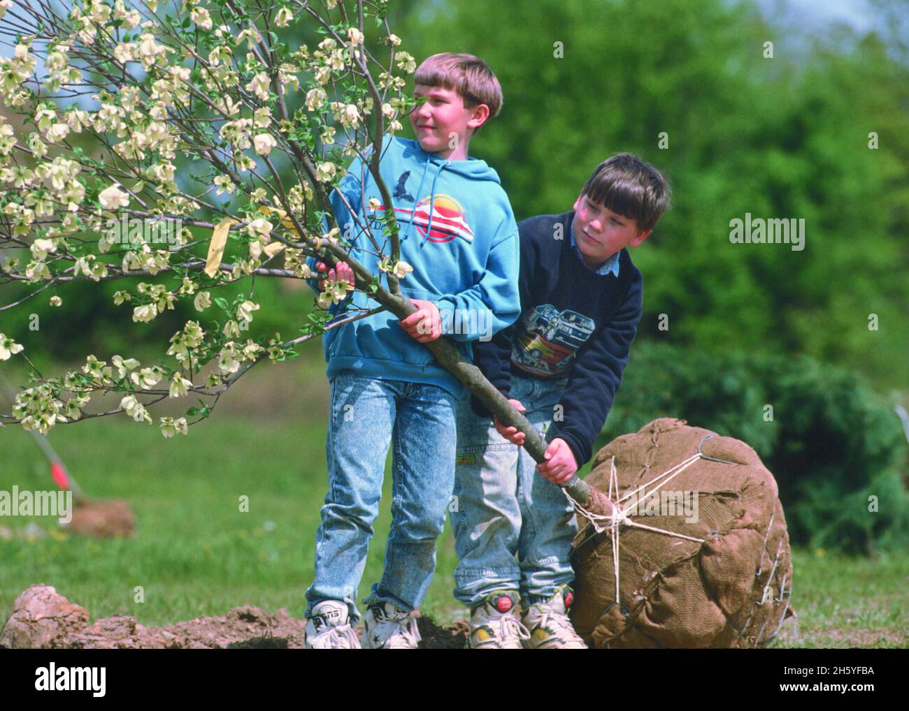 Students at Centreville Middle School plant a tree as part of an ...