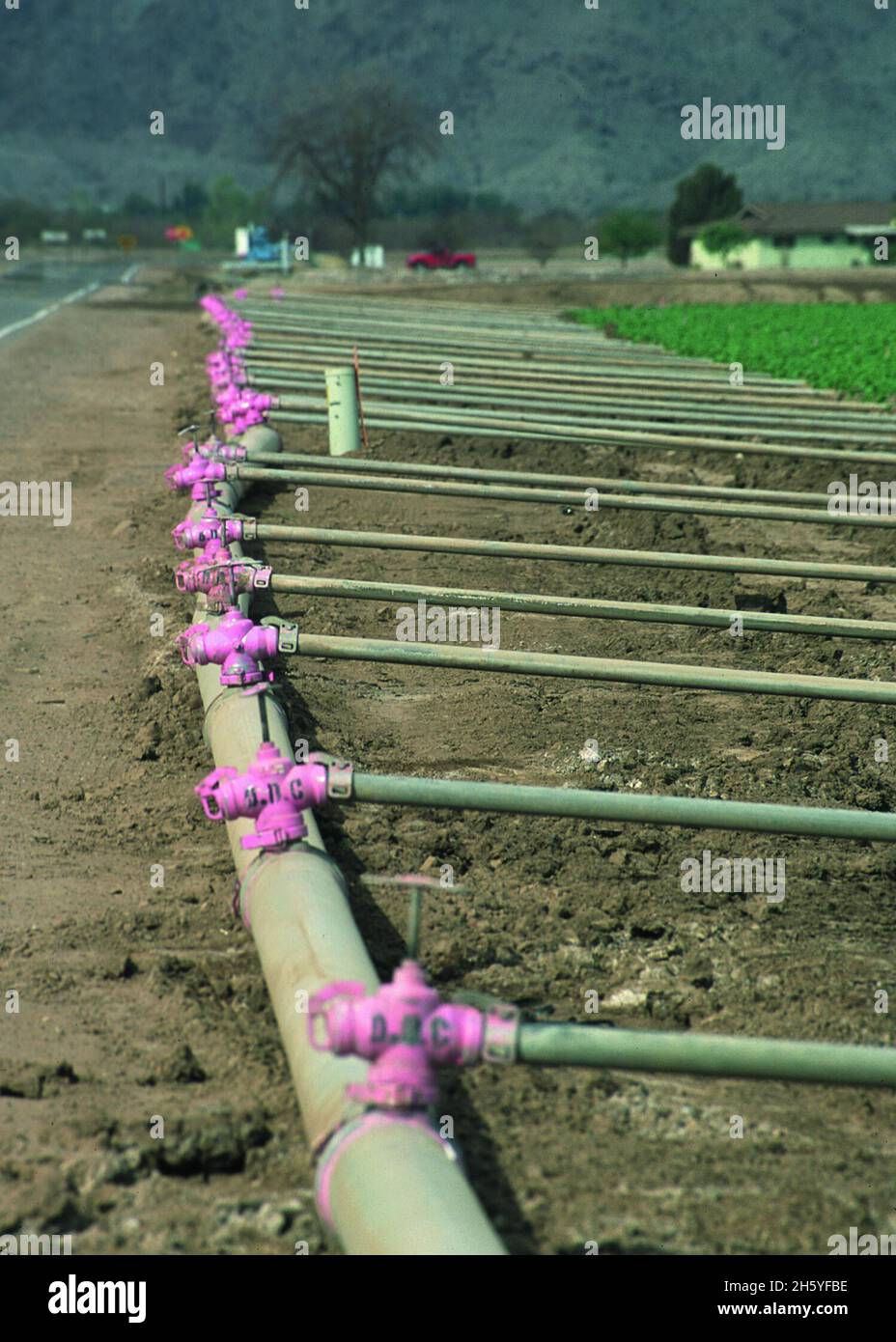 Handline sprinkler irrigation hi-res stock photography and images - Alamy