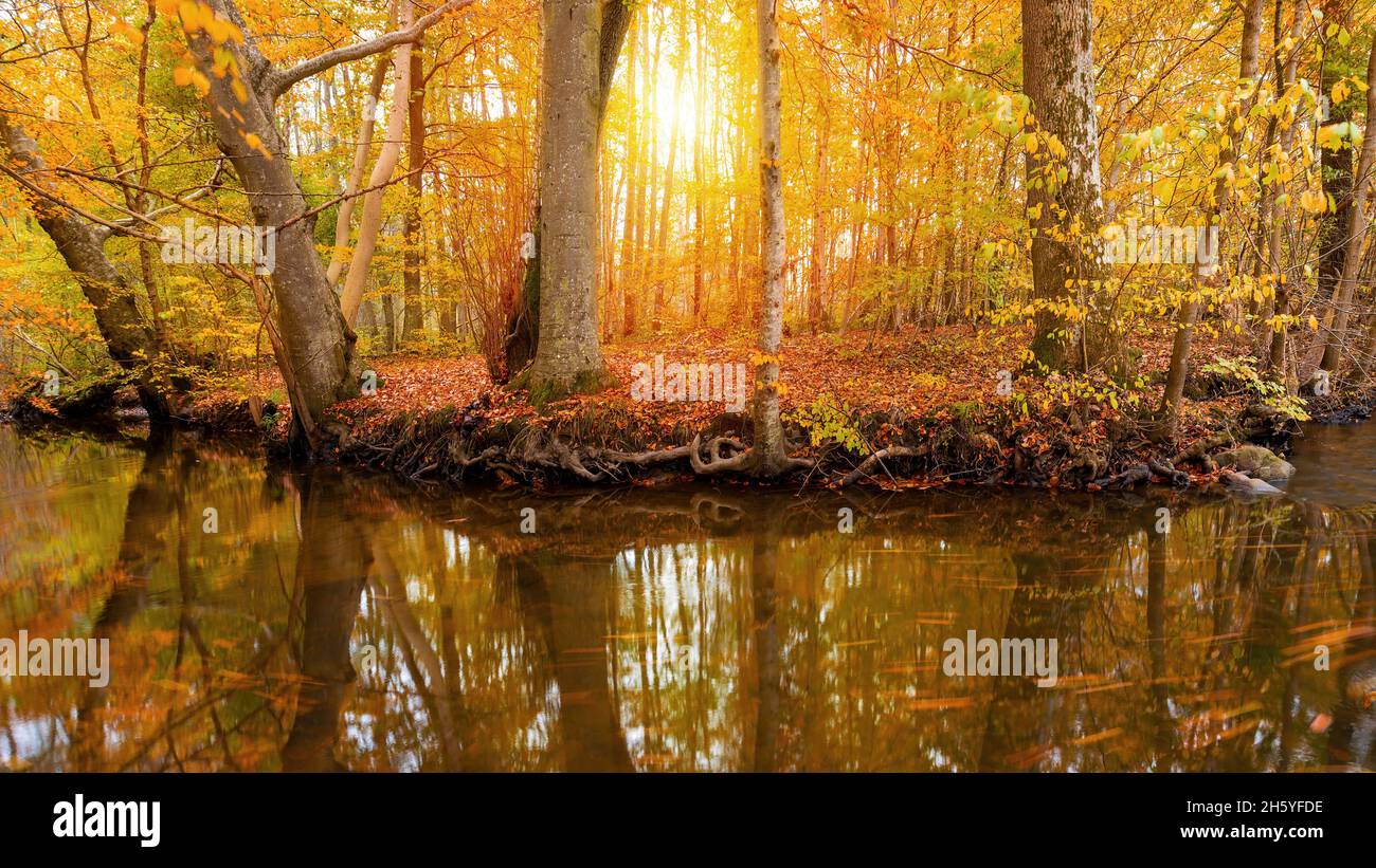 How to coloring a sunset landscape hi-res stock photography and images ...