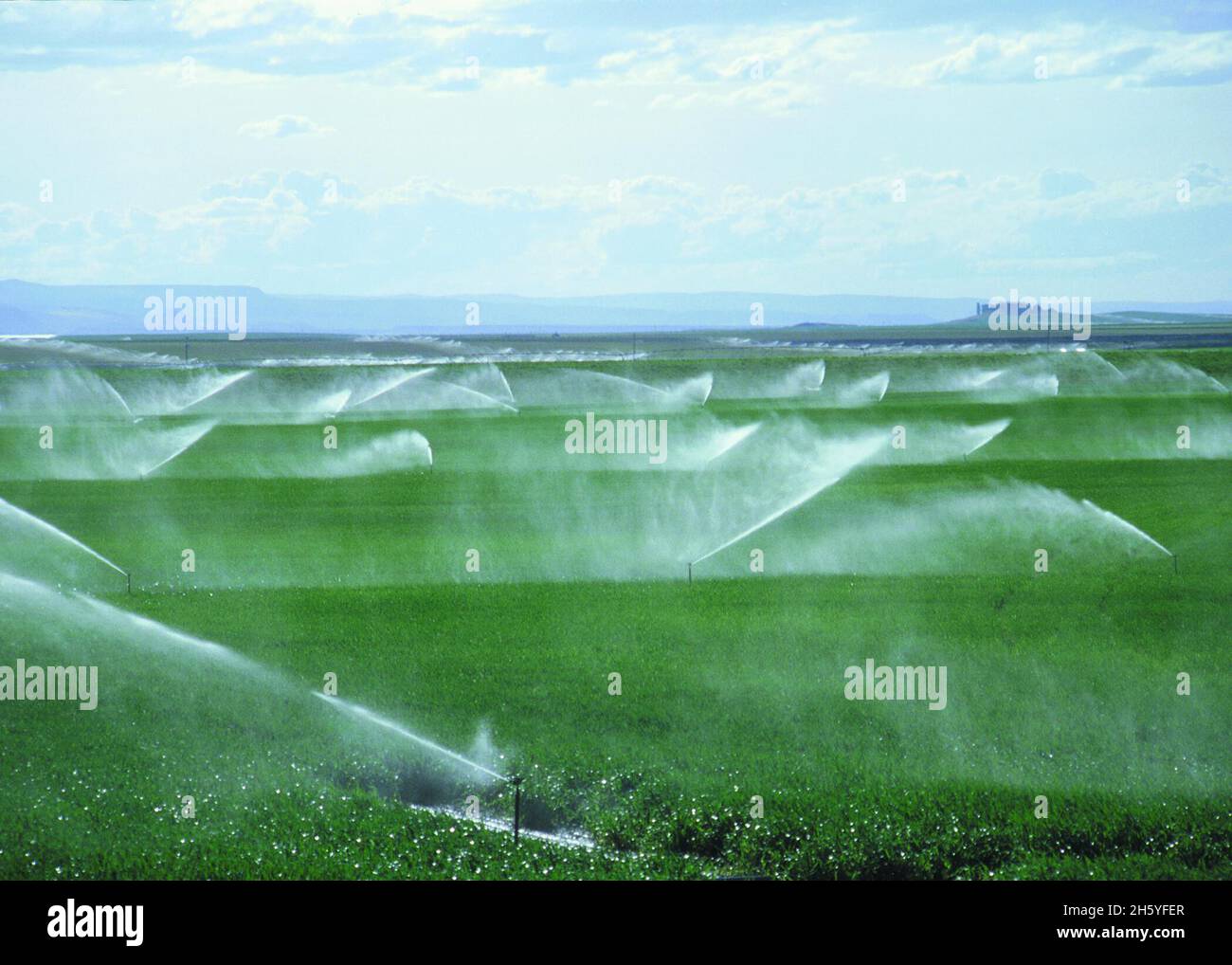 Handline irrigation system hi-res stock photography and images - Alamy
