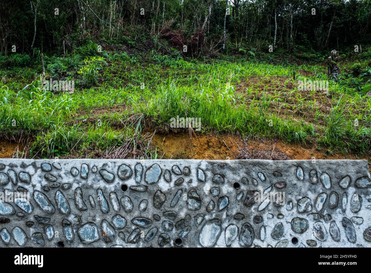 Imugan philippines hi-res stock photography and images - Alamy