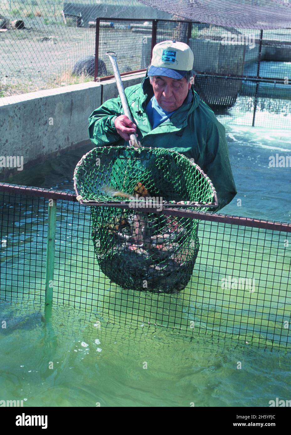 Endangered cui ui fish hi-res stock photography and images - Alamy