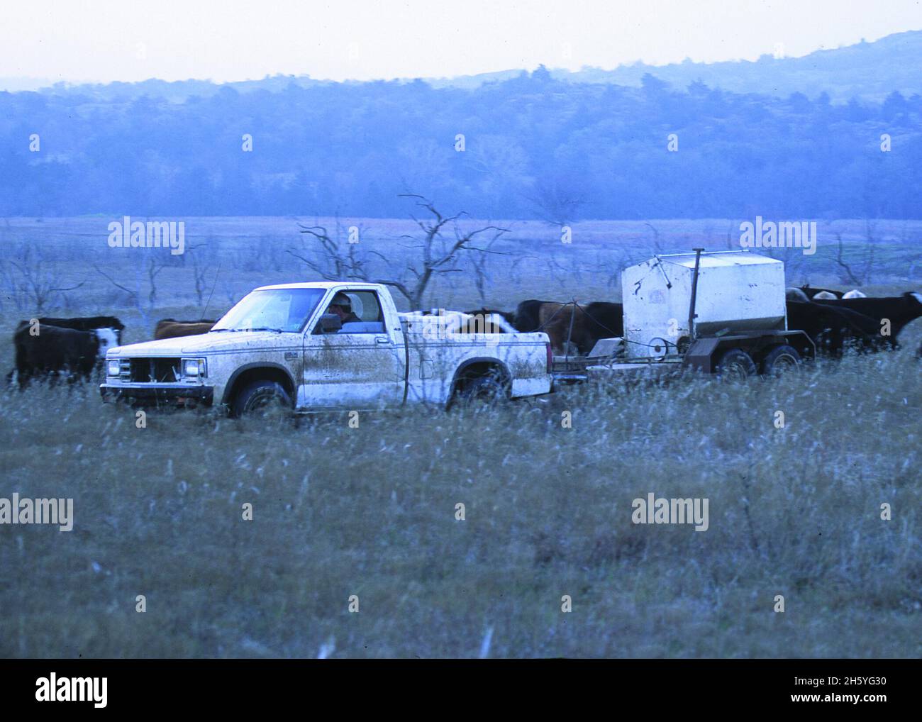 Supplemental pellets hi-res stock photography and images - Alamy