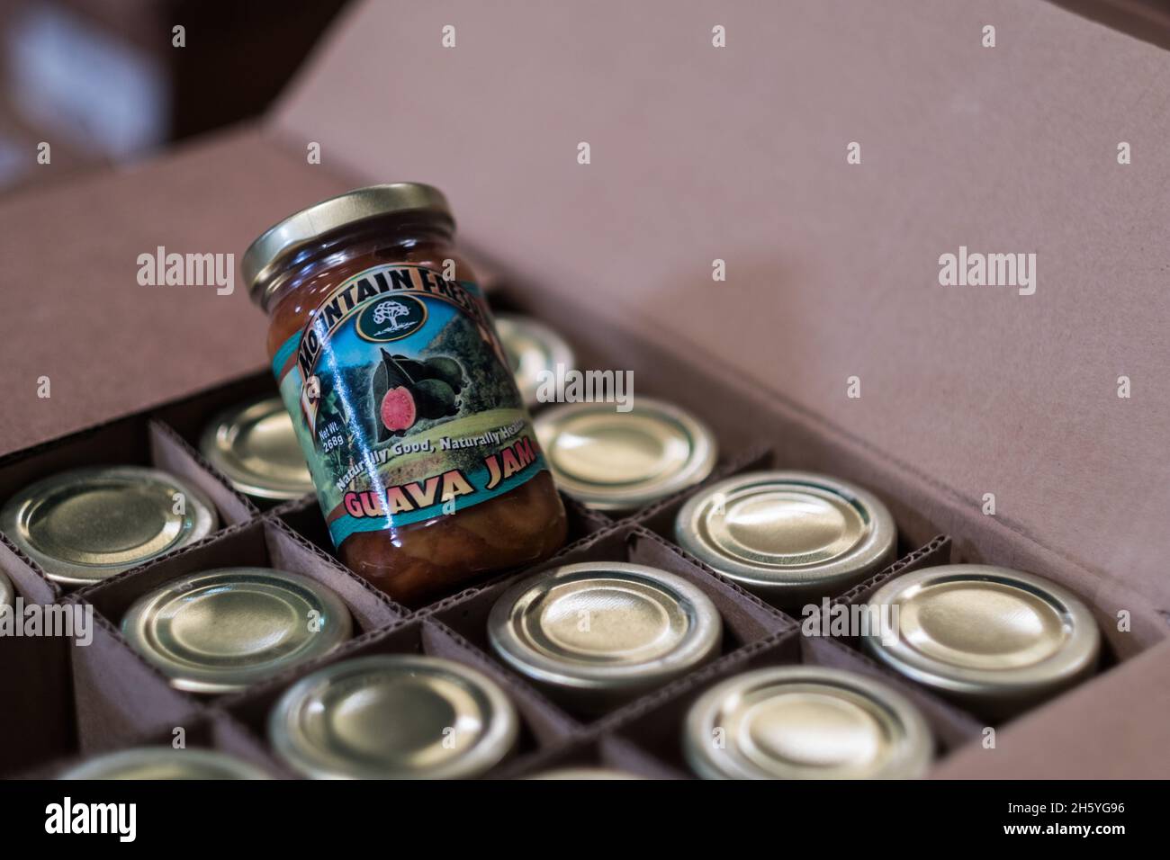 Kalahan educational foundation hi-res stock photography and images - Alamy