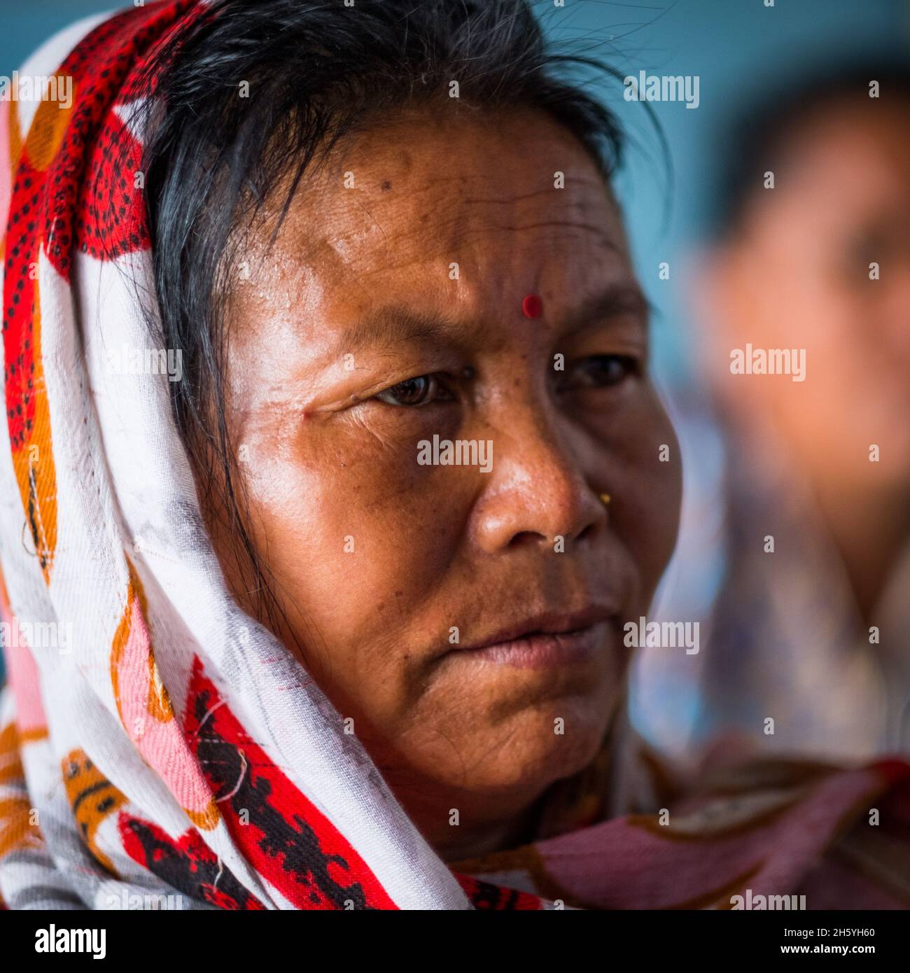 Cheta hi-res stock photography and images - Alamy